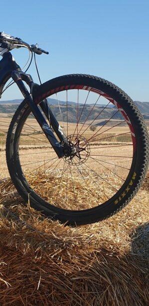 Roval Control 29 Carbon Wheels Review