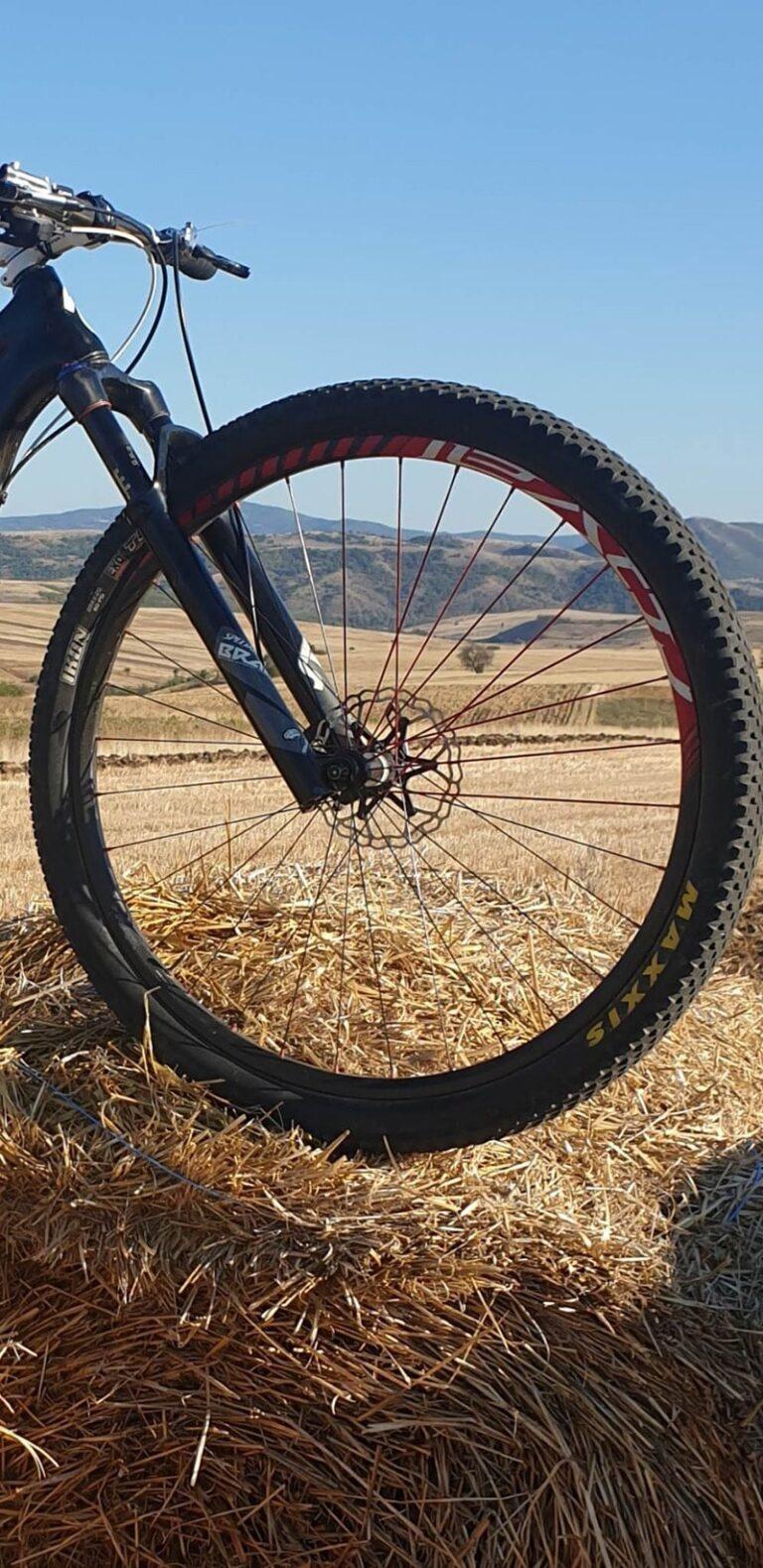 Roval Control 29 Carbon Wheels Review